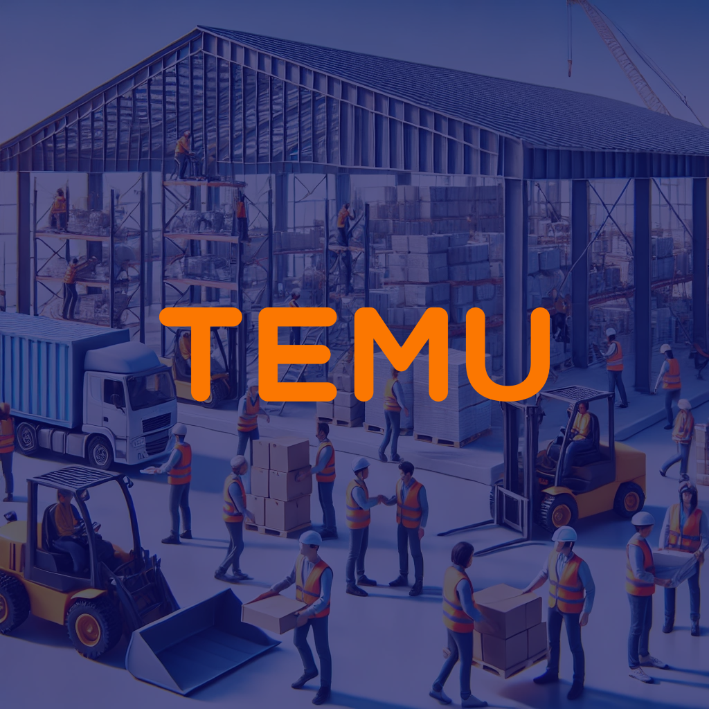 Welcome to Europe, TEMU?